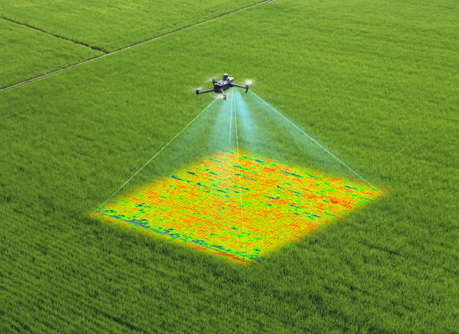 8 ключевых особенностей Mavic 3 Multispectral (M3M) - AEROMOTUS